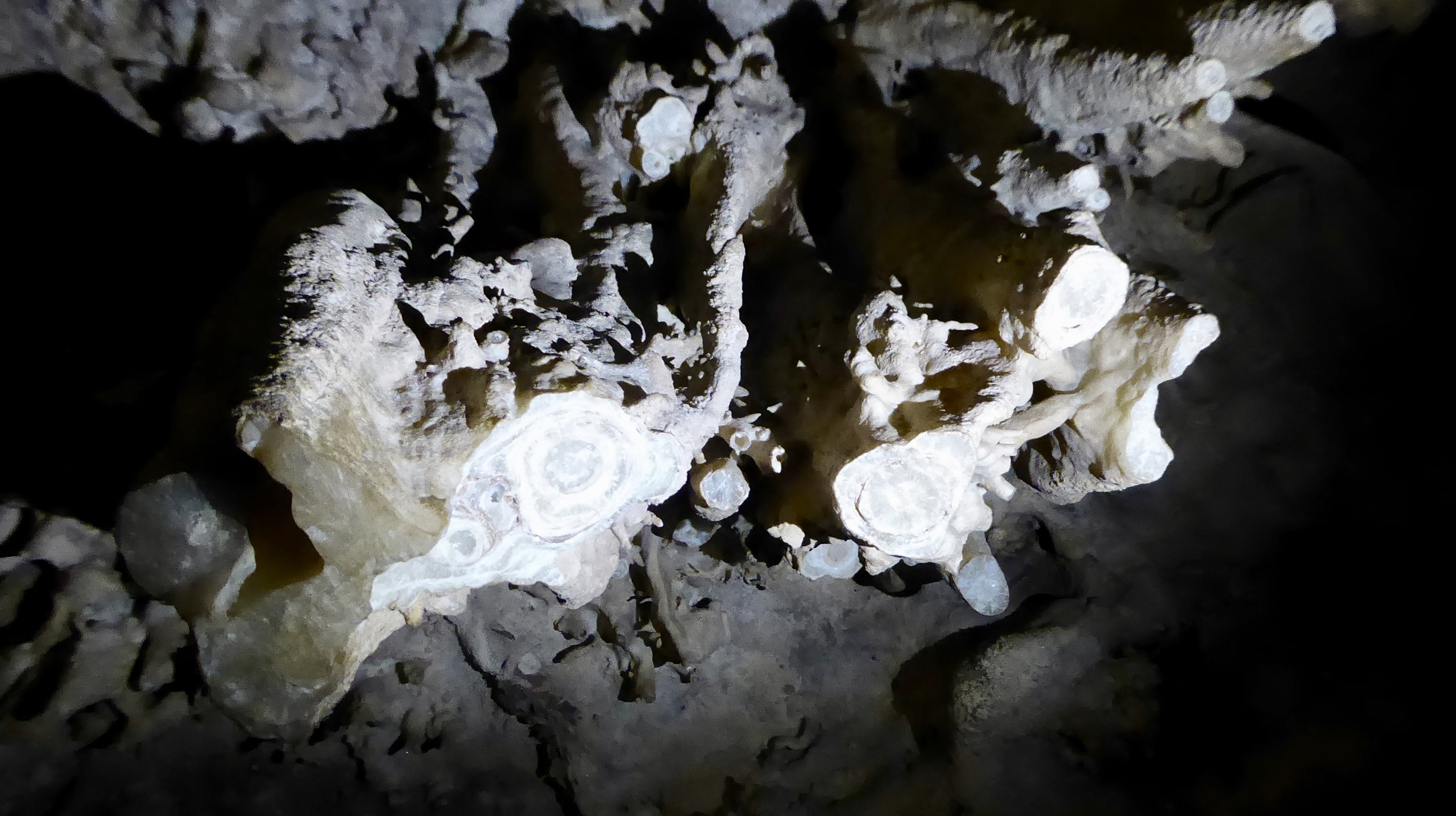 The Tale of Two Caves | Serene Wandering